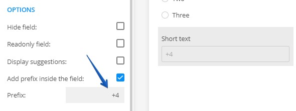 Standard format for Phone fields | 123FormBuilder Help